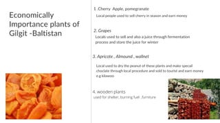 Flora and Fauna of Gilgit Baltistan.pptx