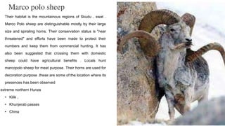 Flora and Fauna of Gilgit Baltistan.pptx