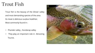 Flora and Fauna of Gilgit Baltistan.pptx