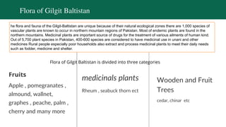 Flora and Fauna of Gilgit Baltistan.pptx