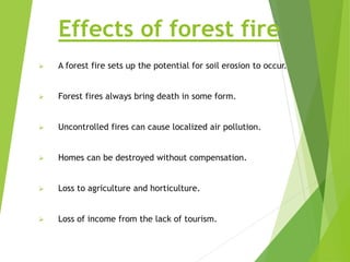 Major Forest Fires in Last Two Decades....pptx