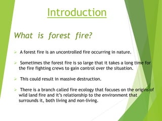 Major Forest Fires in Last Two Decades....pptx