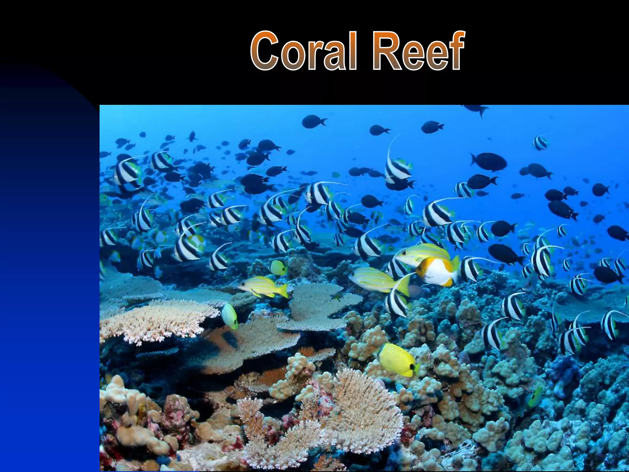 Major formation types | PPTX