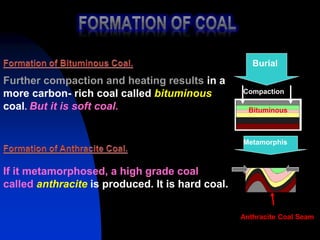 Major formation types | PPTX