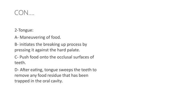 Major functions of masticatory system - Copy.docx