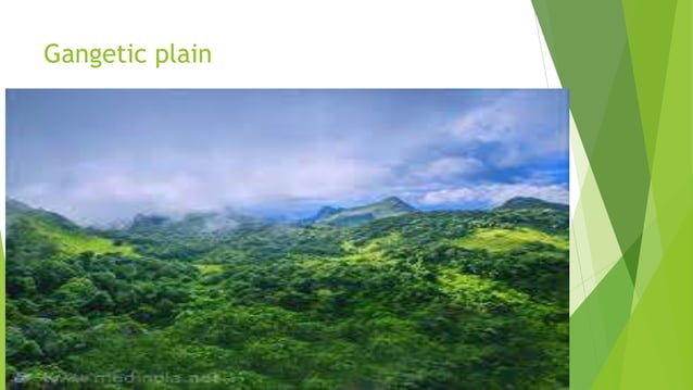 Major geographical zones | PPT