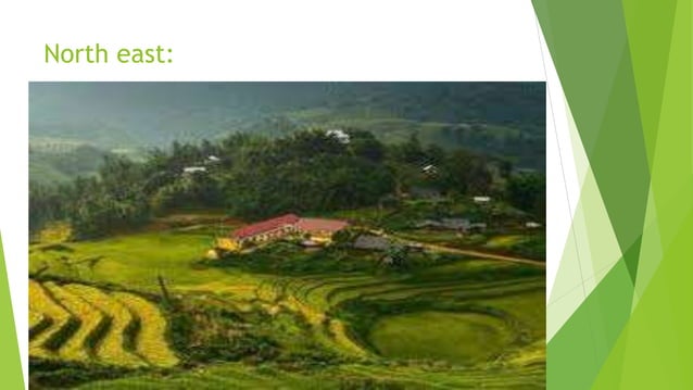 Major geographical zones | PPT