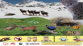 Major geographical zones | PPTX