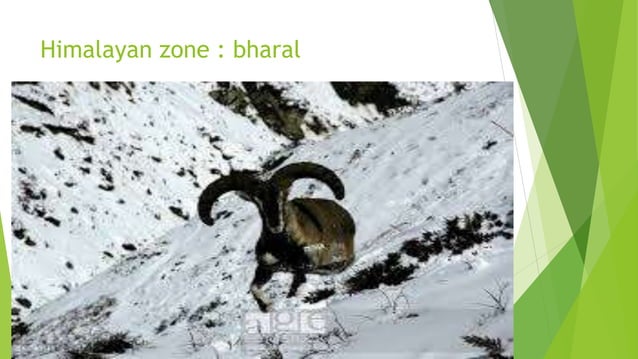 Major geographical zones | PPT