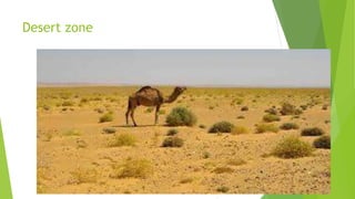 Major geographical zones | PPTX