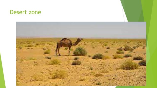 Major geographical zones | PPT