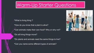 Major group of living things activities.. | PPTX