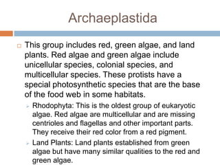 Major groups protists | PPTX | Biological Sciences | Science