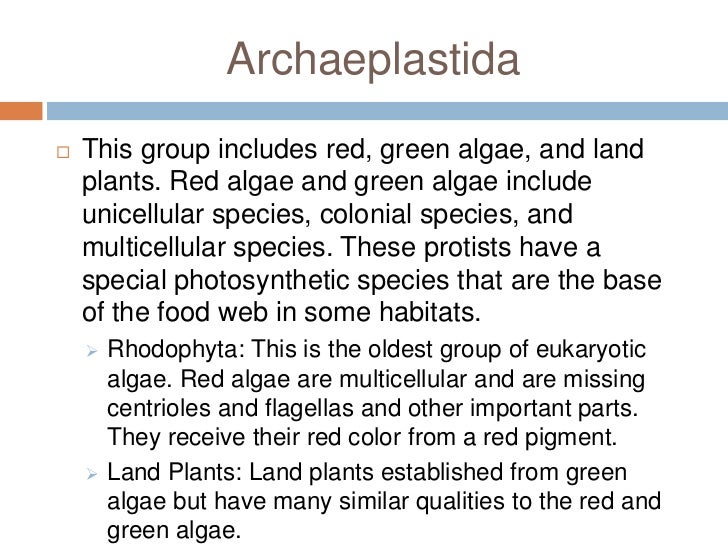 Major groups protists