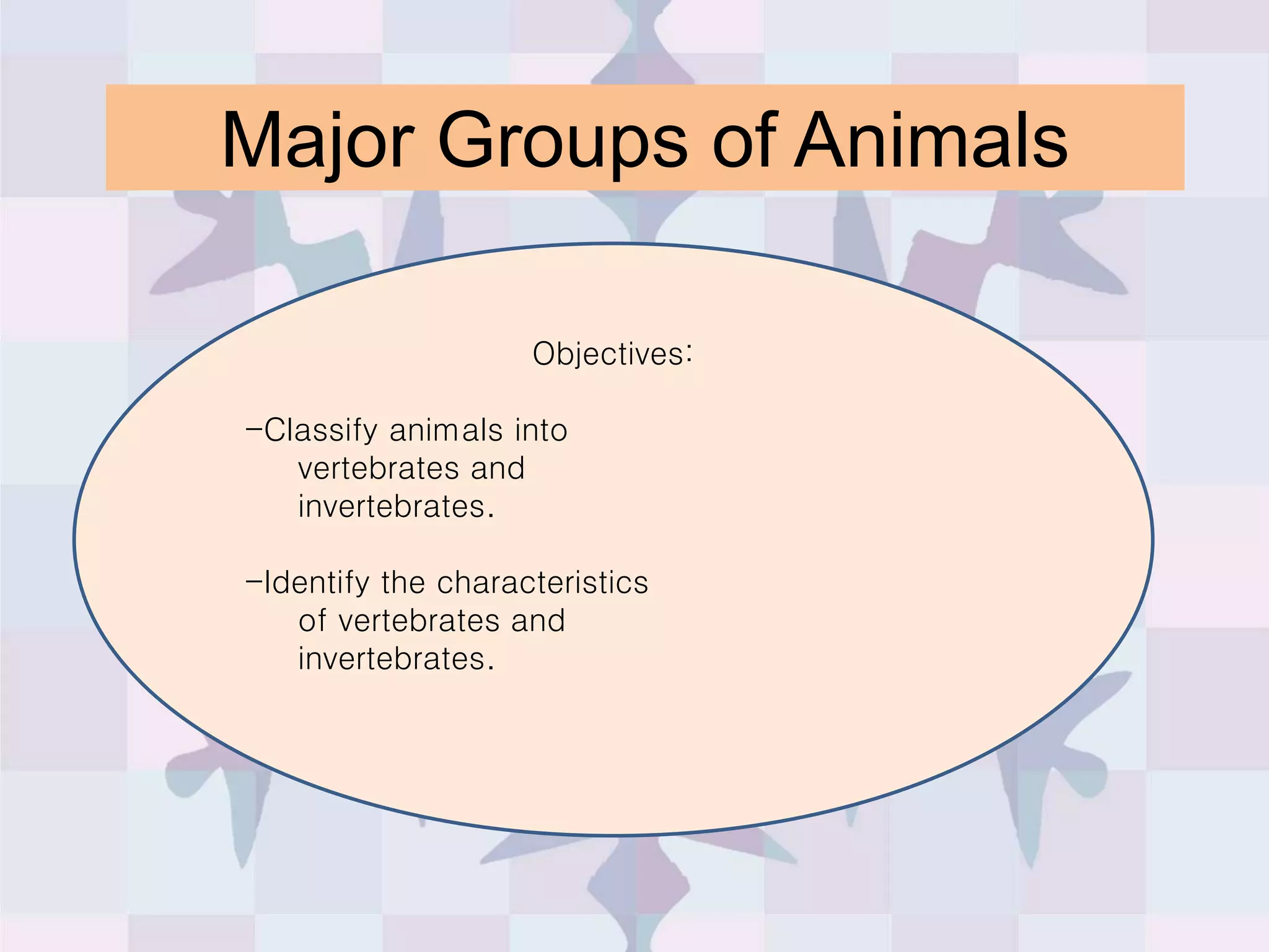 Major groups of animals | PPTX