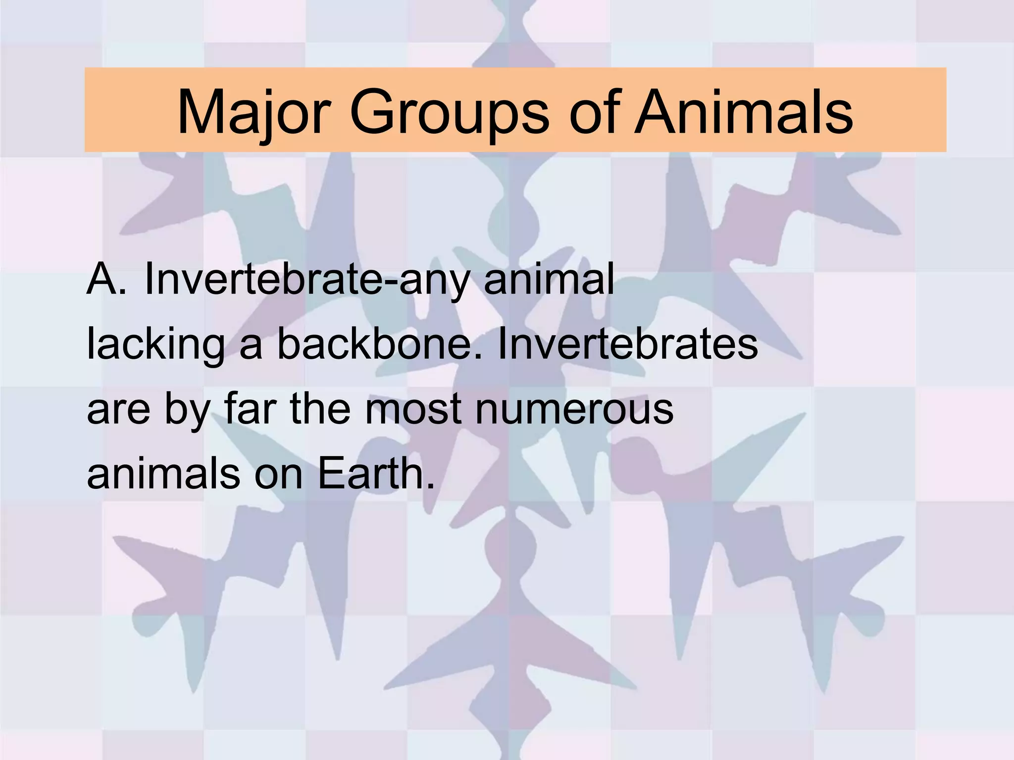 Major groups of animals | PPTX