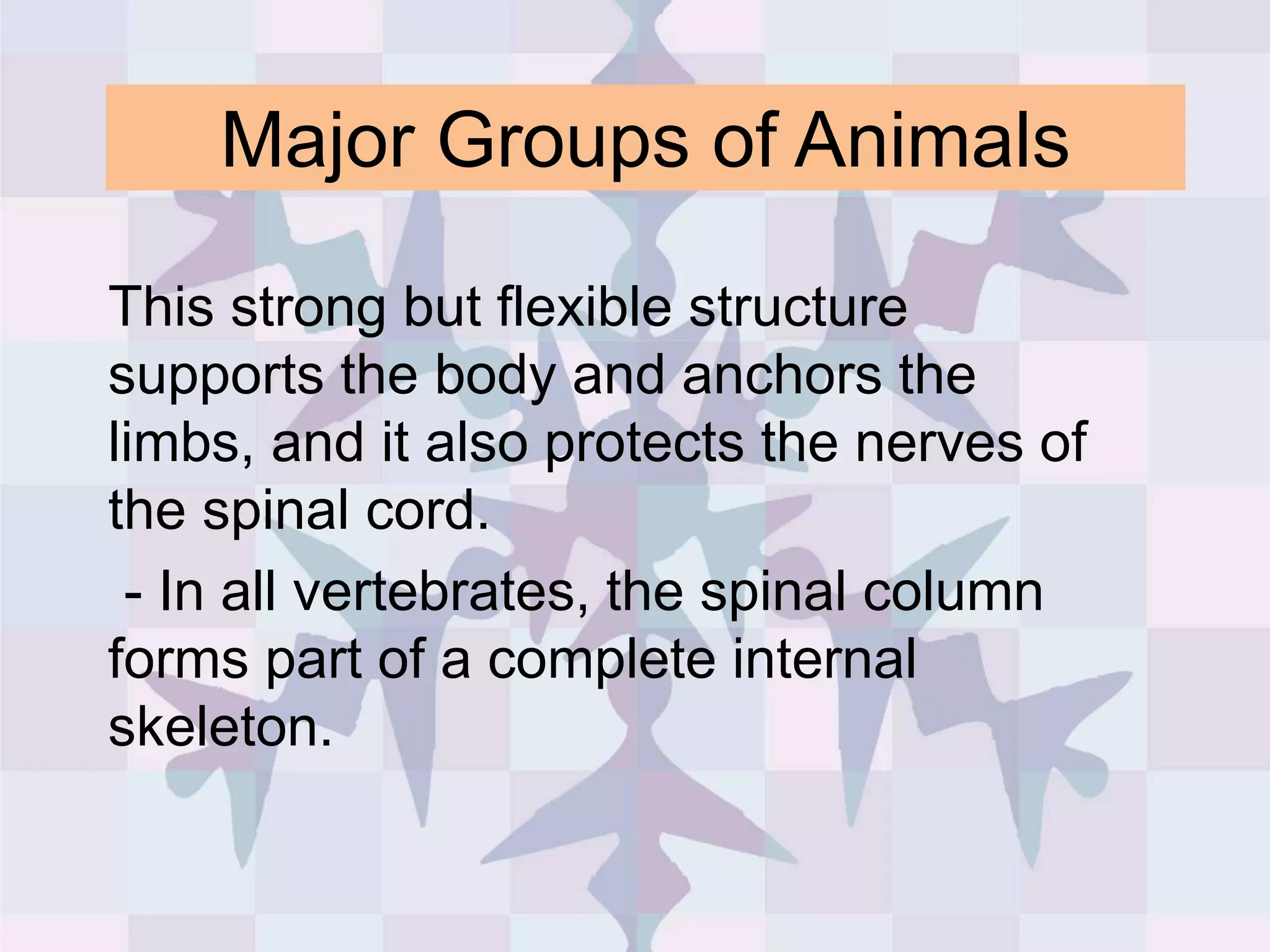 Major groups of animals | PPTX
