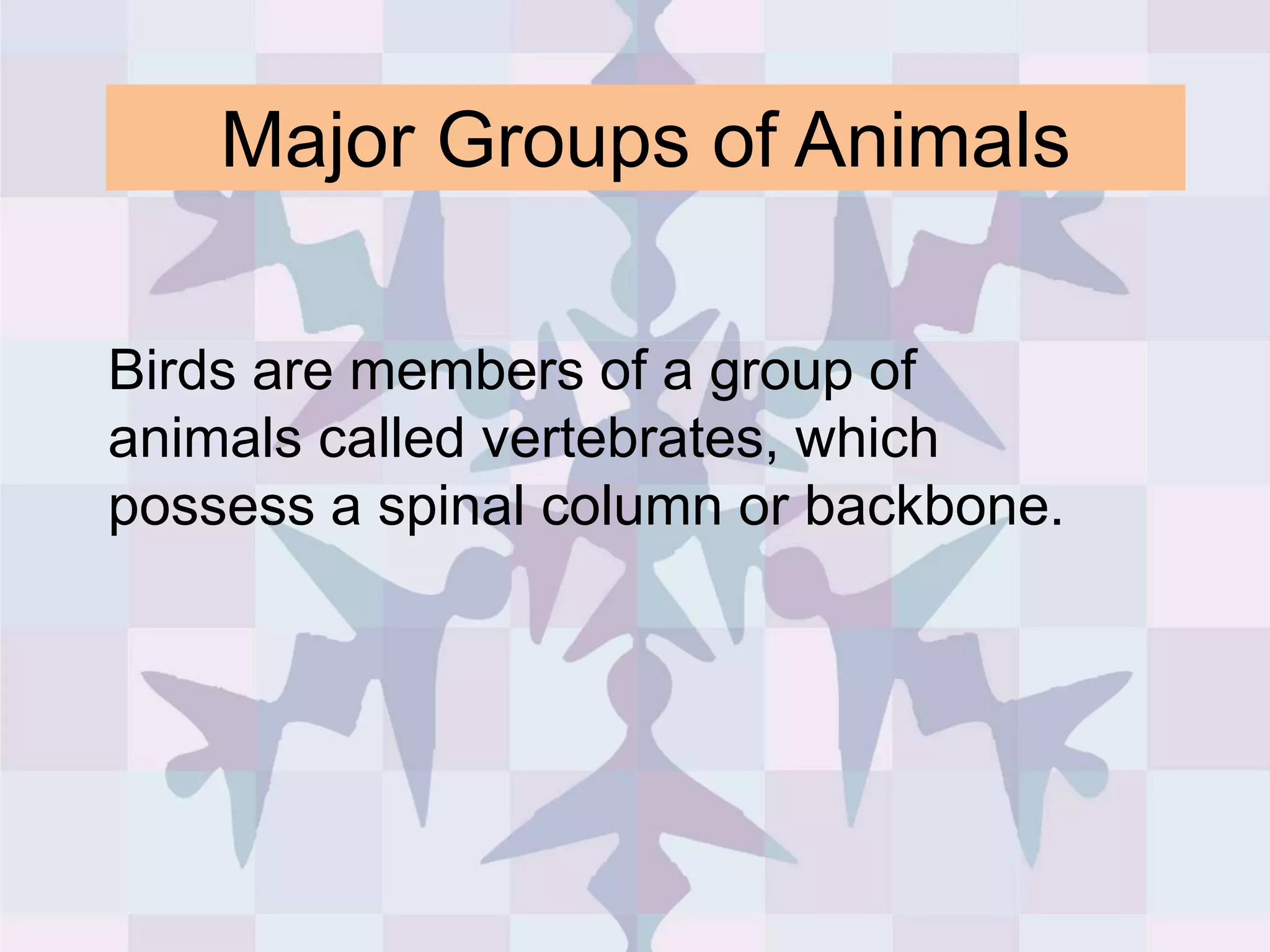 Major groups of animals | PPTX