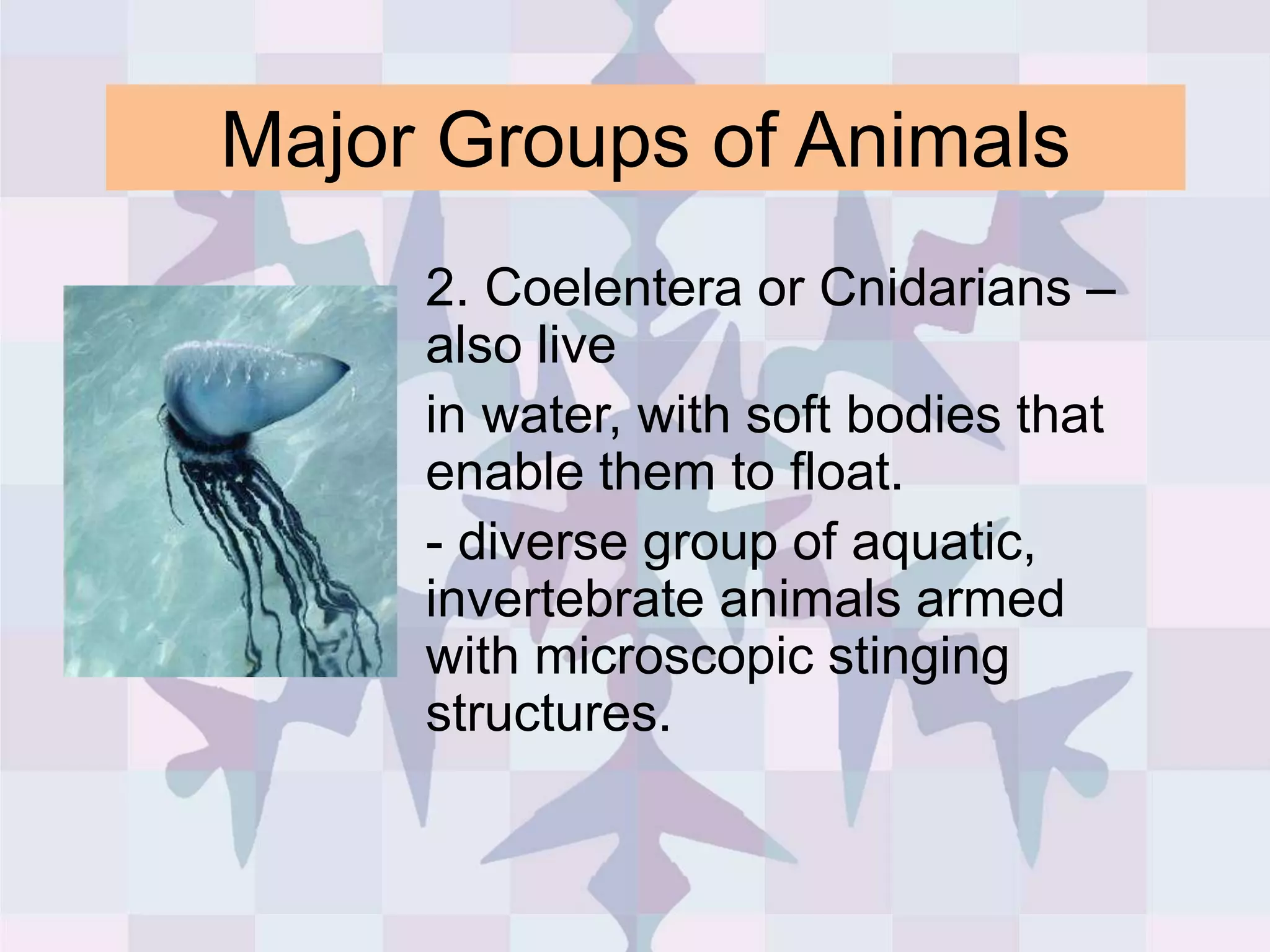 Major groups of animals | PPTX