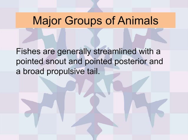 Major groups of animals | PPTX | Reptiles | Pets
