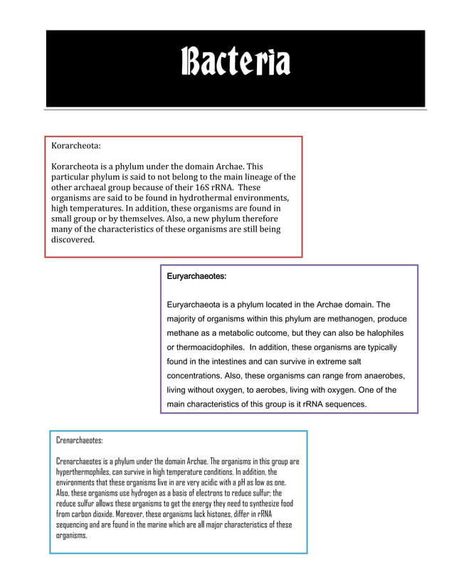 Major groups of bacteria | DOCX