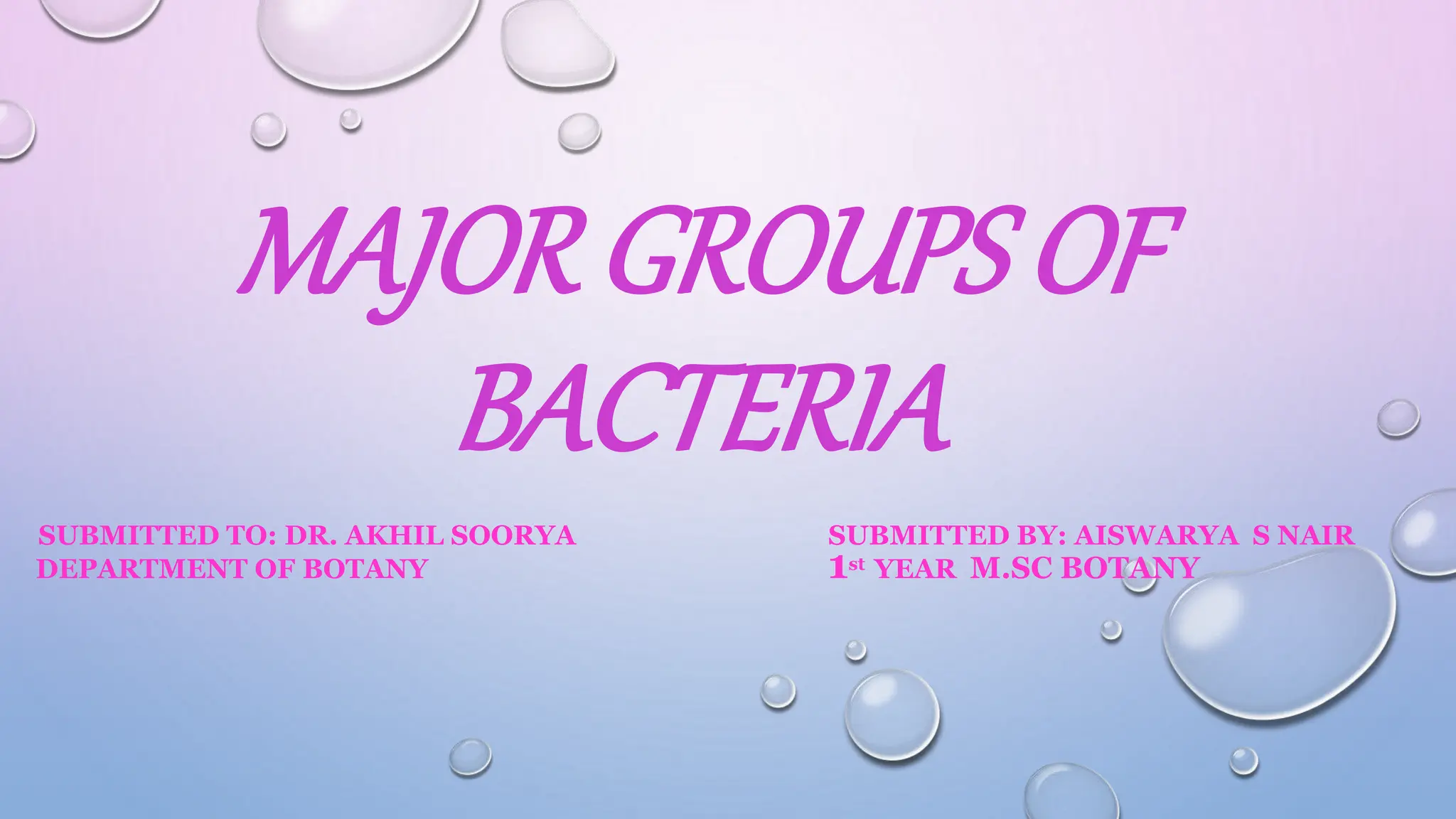 Major groups of bacteria: Spirochetes, Chlamydia, Rickettsia, nanobes ...