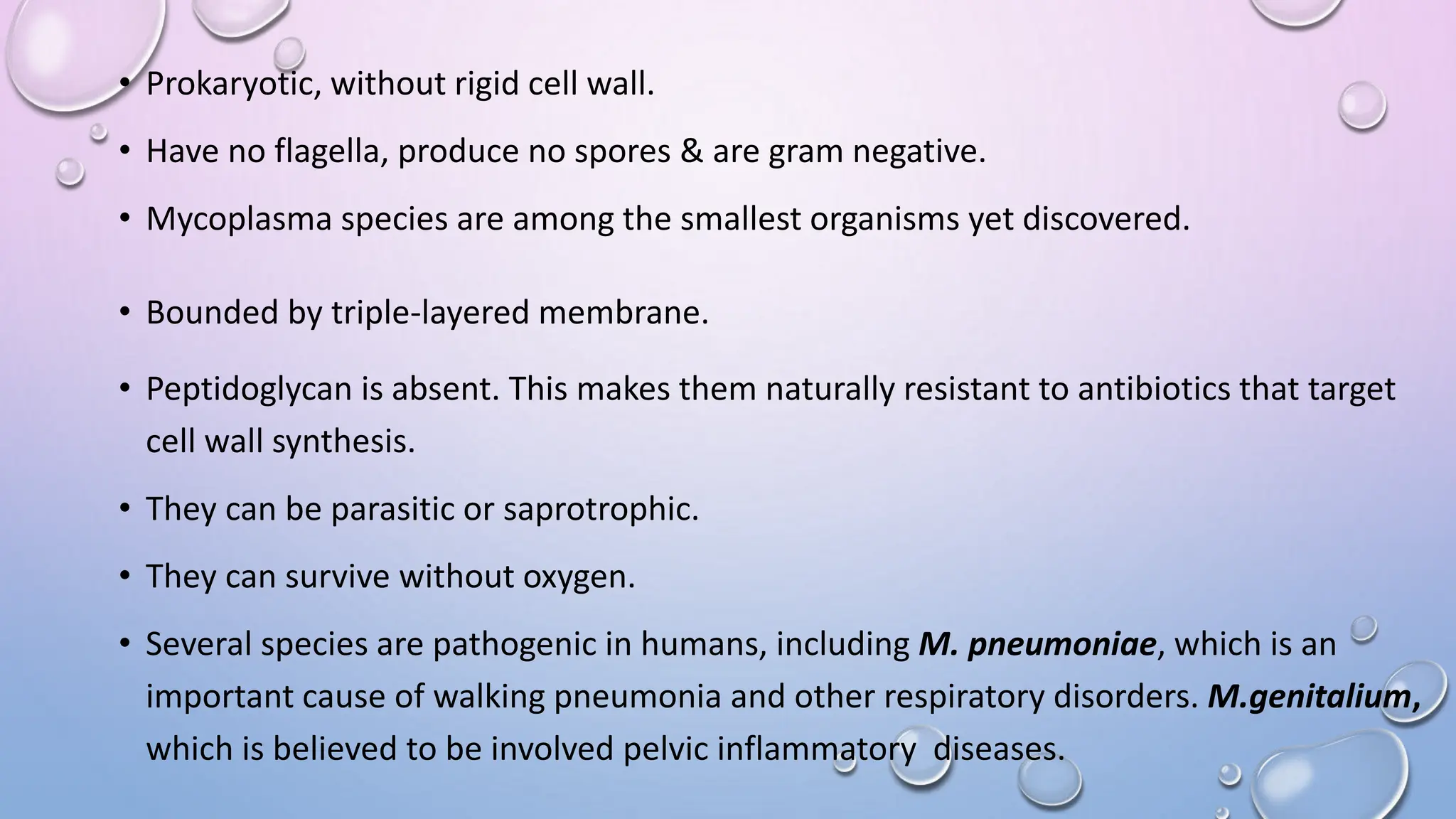 Major groups of bacteria: Spirochetes, Chlamydia, Rickettsia, nanobes ...