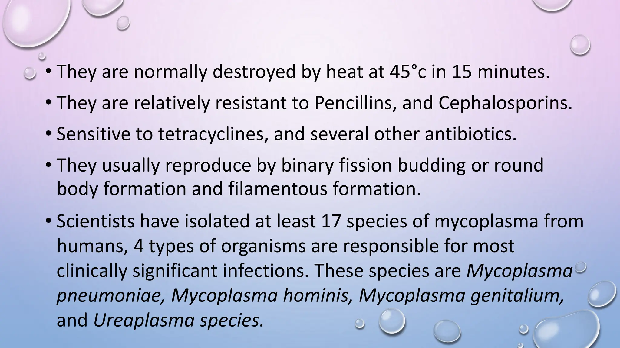 Major groups of bacteria: Spirochetes, Chlamydia, Rickettsia, nanobes ...