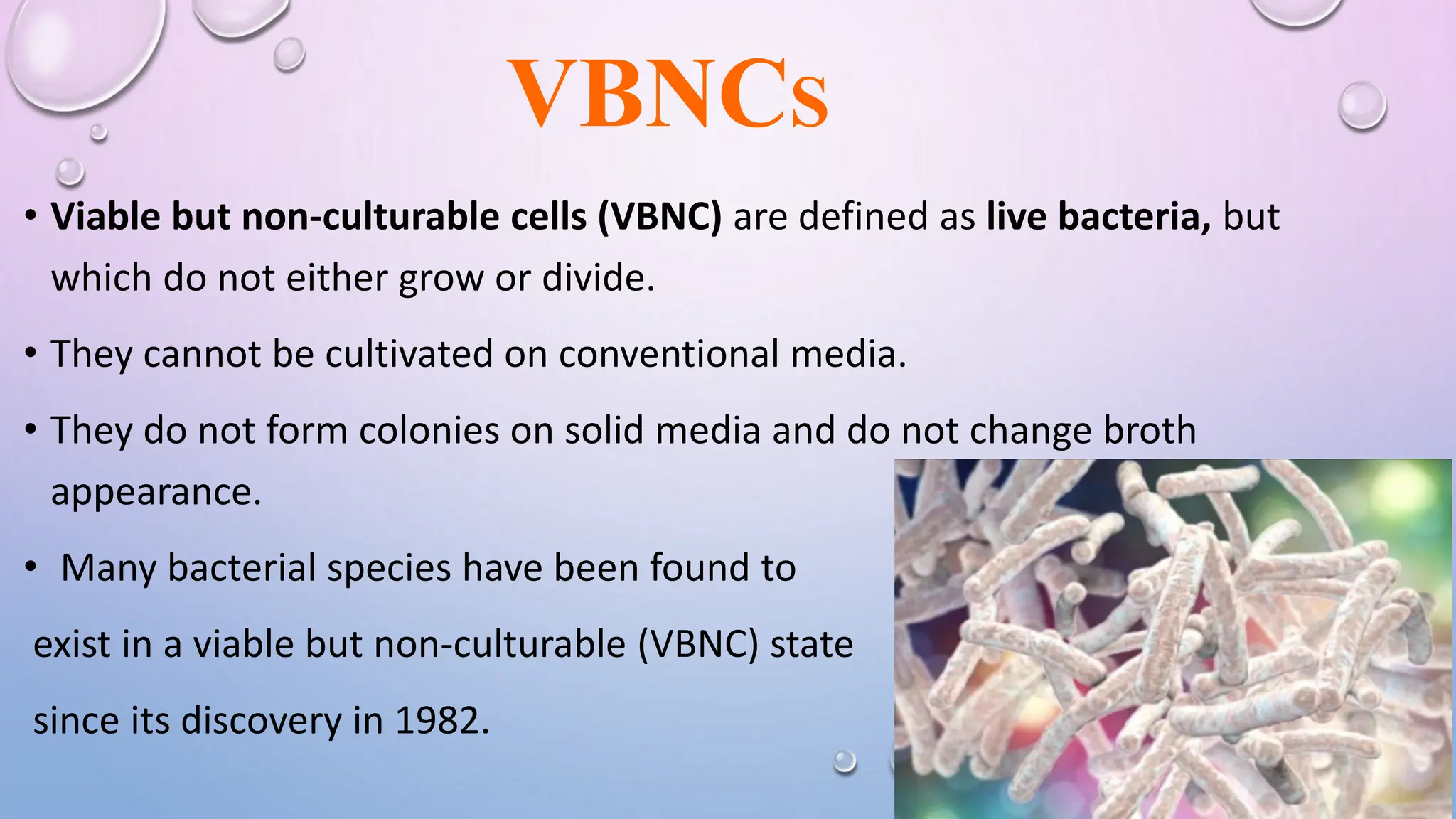 Major groups of bacteria: Spirochetes, Chlamydia, Rickettsia, nanobes ...