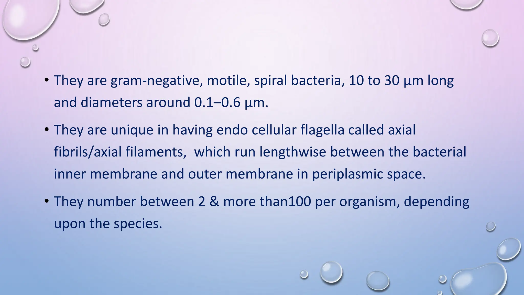 Major groups of bacteria: Spirochetes, Chlamydia, Rickettsia, nanobes ...