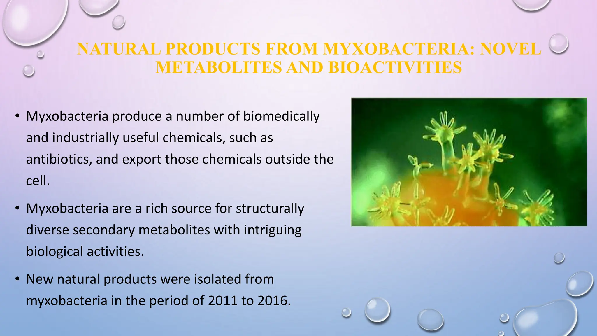 Major groups of bacteria: Spirochetes, Chlamydia, Rickettsia, nanobes ...
