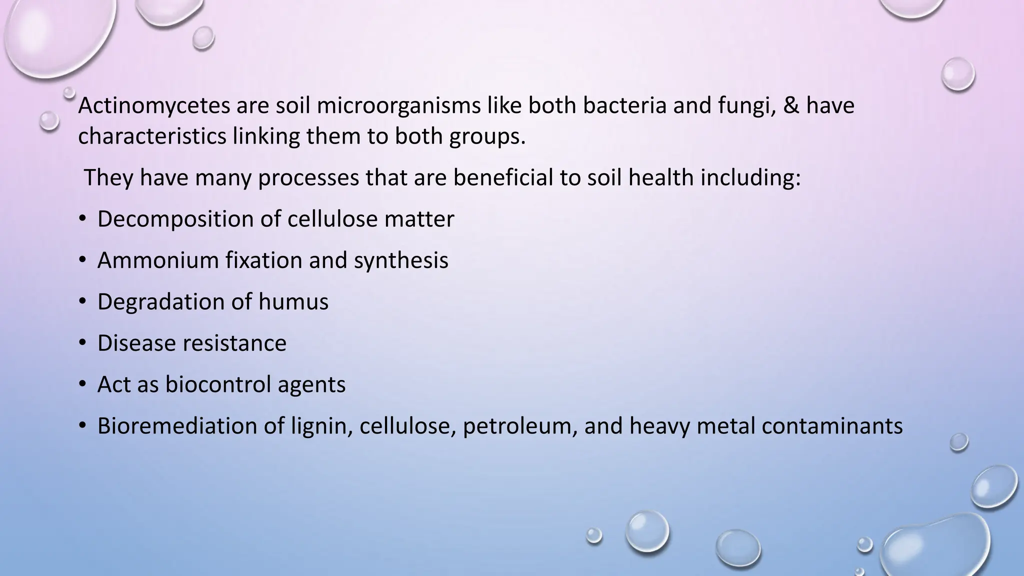 Major groups of bacteria: Spirochetes, Chlamydia, Rickettsia, nanobes ...