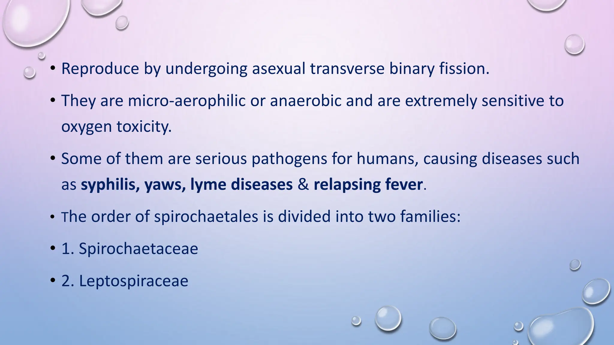 Major groups of bacteria: Spirochetes, Chlamydia, Rickettsia, nanobes ...