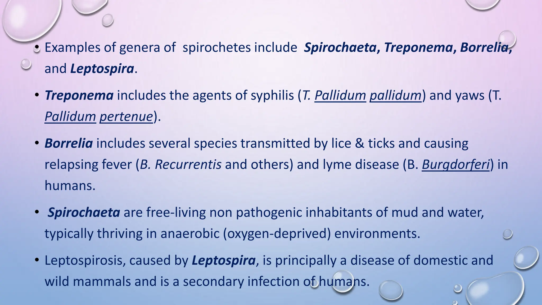 Major groups of bacteria: Spirochetes, Chlamydia, Rickettsia, nanobes ...