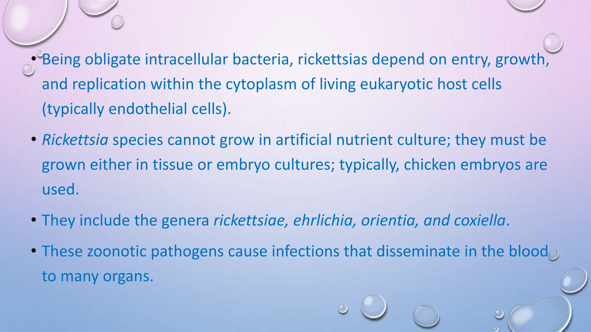 Major groups of bacteria: Spirochetes, Chlamydia, Rickettsia, nanobes ...
