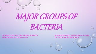 Major groups of bacteria: Spirochetes, Chlamydia, Rickettsia, nanobes ...