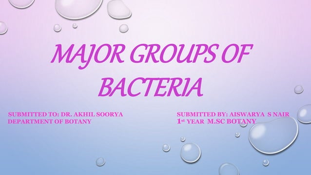 Major groups of bacteria: Spirochetes, Chlamydia, Rickettsia, nanobes ...