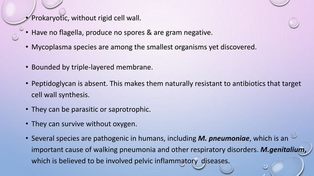 Major groups of bacteria: Spirochetes, Chlamydia, Rickettsia, nanobes ...