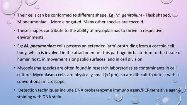 Major groups of bacteria: Spirochetes, Chlamydia, Rickettsia, nanobes ...