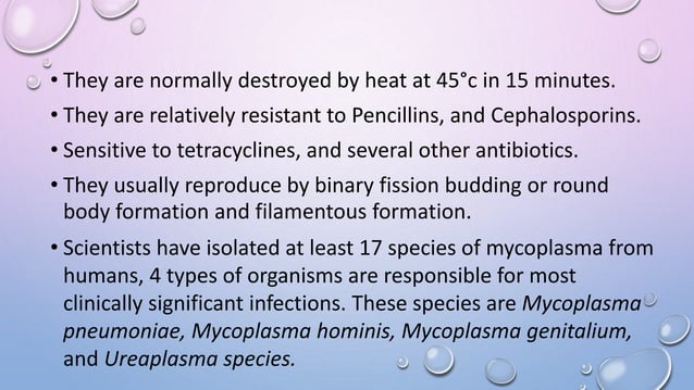 Major groups of bacteria: Spirochetes, Chlamydia, Rickettsia, nanobes ...