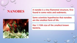Major groups of bacteria: Spirochetes, Chlamydia, Rickettsia, nanobes ...