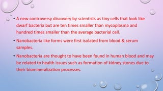 Major groups of bacteria: Spirochetes, Chlamydia, Rickettsia, nanobes ...