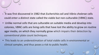 Major groups of bacteria: Spirochetes, Chlamydia, Rickettsia, nanobes ...