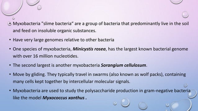 Major groups of bacteria: Spirochetes, Chlamydia, Rickettsia, nanobes ...