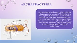 Major groups of bacteria: Spirochetes, Chlamydia, Rickettsia, nanobes ...