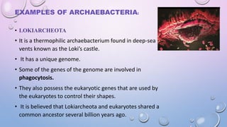 Major groups of bacteria: Spirochetes, Chlamydia, Rickettsia, nanobes ...