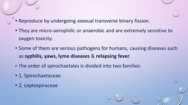 Major groups of bacteria: Spirochetes, Chlamydia, Rickettsia, nanobes ...