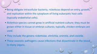 Major groups of bacteria: Spirochetes, Chlamydia, Rickettsia, nanobes ...