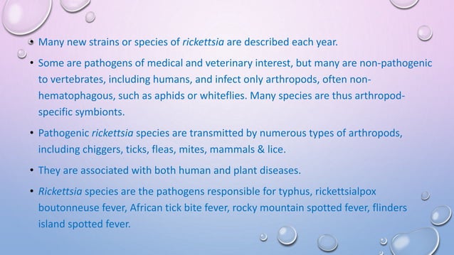 Major groups of bacteria: Spirochetes, Chlamydia, Rickettsia, nanobes ...