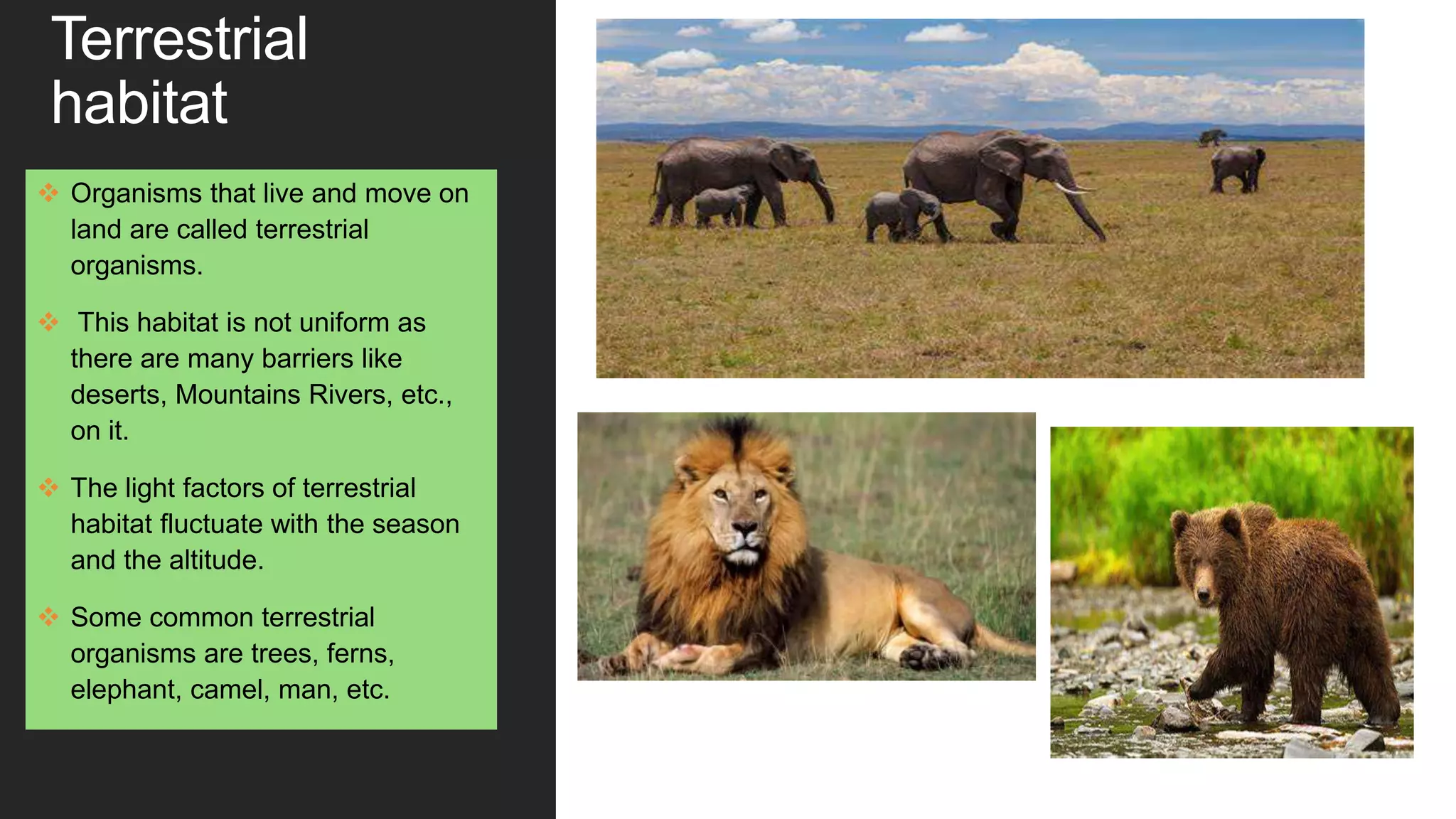 Major habitat type of sub continent | PPTX